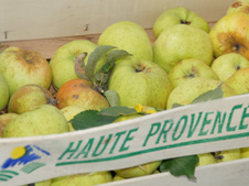 Camping La Vieille Ferme